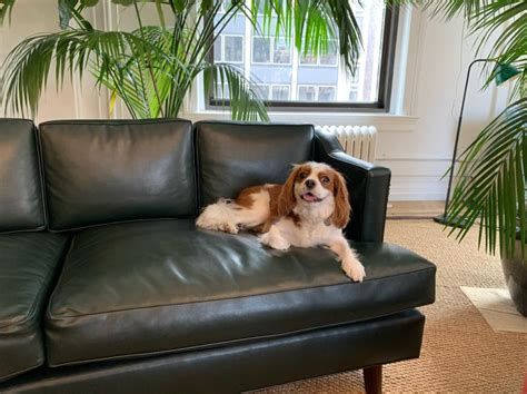 Constructionconsulting Construction Insurance Claims Buildersrisk Building