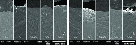 Scanning Electron Microscopy Images A Prettau Without Aging B