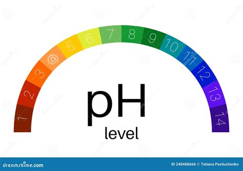 Ph Scale Diagram Stock Vector Illustration Of Measurement 248488666