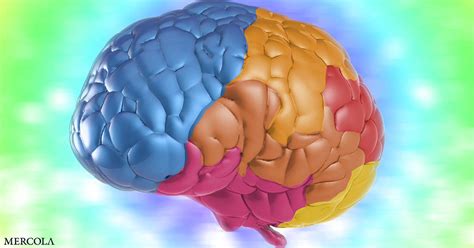 ‘strong And Consistent Evidence Links Multivitamins To Memory And