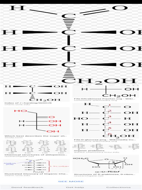 Aldopentose Overview And Structures Pdf