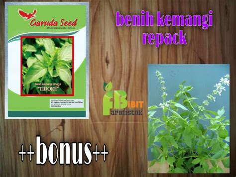 200 Biji Benih Kemangi Lazada Indonesia