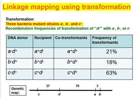 Linkage Mapping Using Transformation Transformation