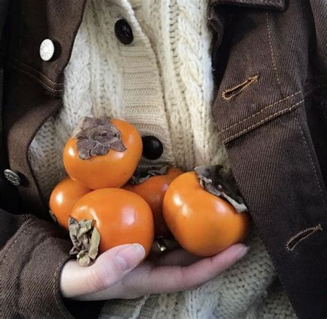 Pin By Amàlia On Zodiac Autumn Aesthetic Autumn Aesthetic