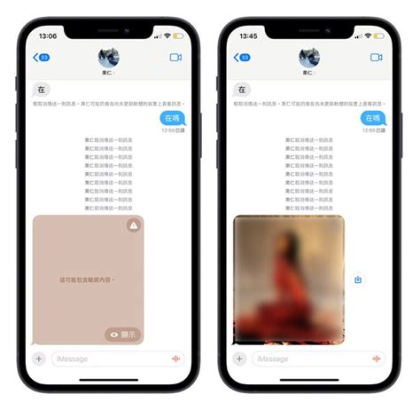 Ios 17 敏感性內容警告：幫你過濾色情、血腥照片，收到後先模糊處理 蘋果仁 果仁 Iphone Ios 好物推薦科技媒體
