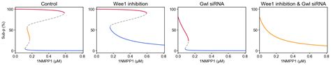 Bifurcation Analysis · Biomassjl
