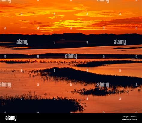 Sunrise Over Estuaries Padre Island National Seashore Near Corpus