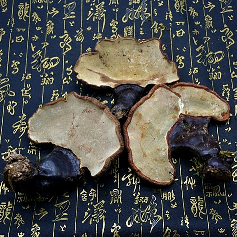 灵芝纯野外生长正宗长白山东北林下整枝赤紫灵芝泡酒煲汤500g包邮虎窝淘
