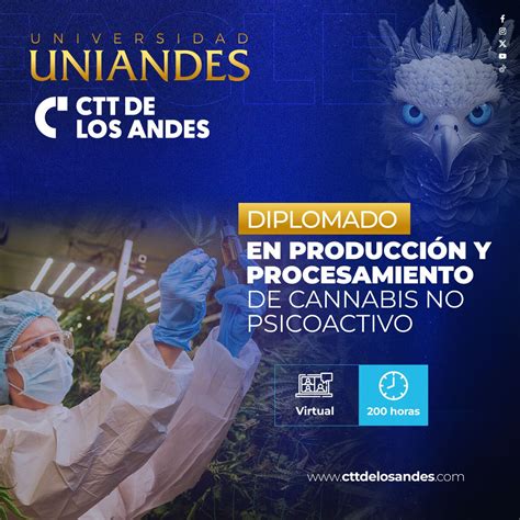 Diplomado En ProducciÓn Y Procesamiento De Cannabis No Psicoactivo