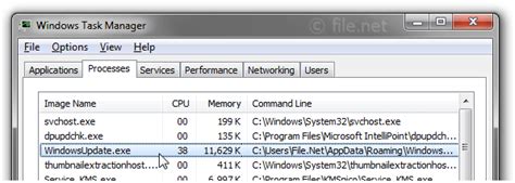 WindowsUpdate Exe Windows Process What Is It