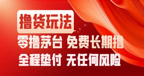 小二项目网 综合网创资源优质付费资源知识付费网课平台创业项目代理加盟
