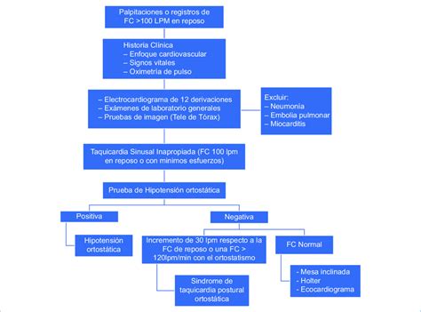 Algoritmo Propuesto Para La Estratificación De Taquicardia Sinusal Download Scientific Diagram