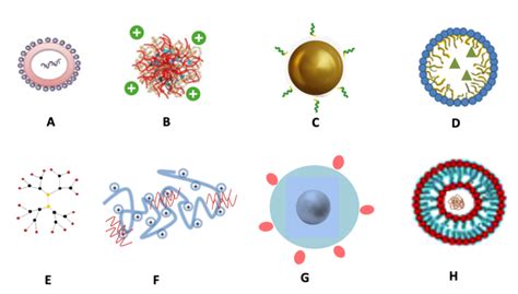 Figure5 Non Viral Vector Types A Cationic Lipids B Cationic