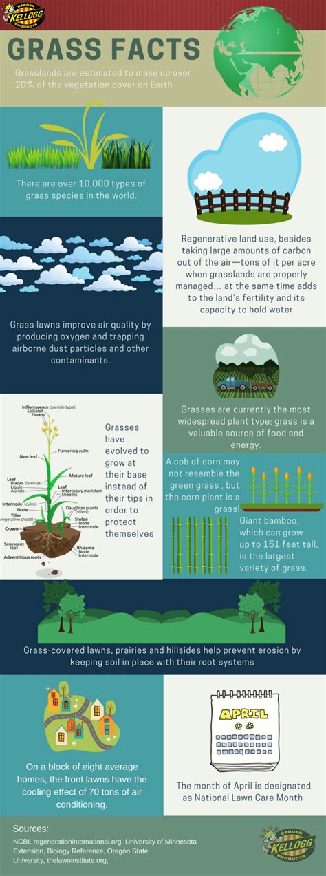 Grass Facts Infographic Kellogg Garden Organics™