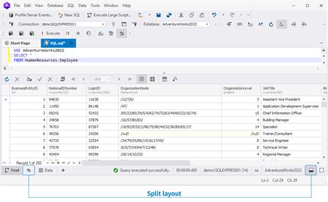 Sql Document Overview