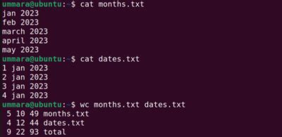 How To Use The Wc Command In Linux With Examples Linux Genie