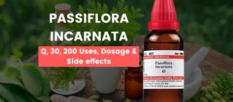 Passiflora Incarnata Homeopathy Uses Benefits And Side Effects