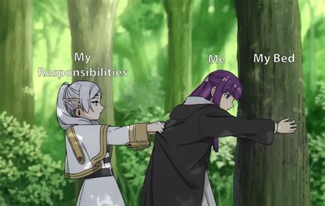 Saw This Scene In Frieren Thought It Was A Good Meme Format Ranimememes