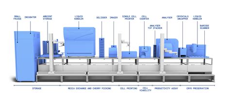 Automating Cell Line Development Automata