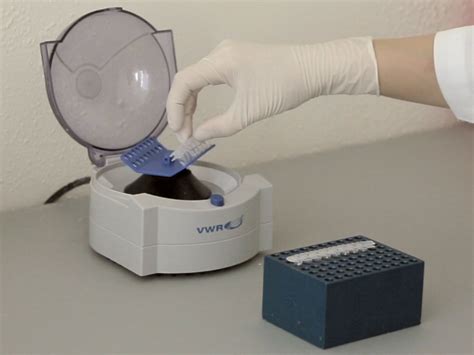 Video Development Of A Quantitative Recombinase Polymerase