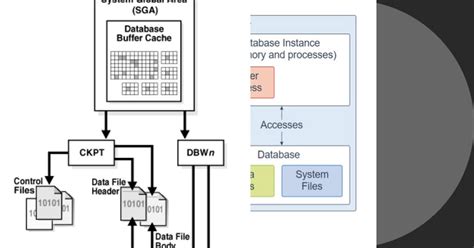 list dba oracle curated by sudip acharya medium