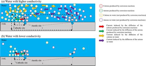 Effects Of Conductivity Download Scientific Diagram