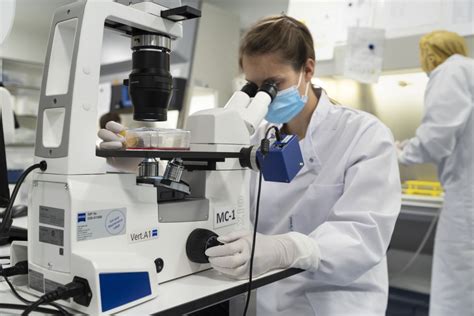Switzerland Pushes For Full Eu Horizon Research Access Swi Swissinfoch