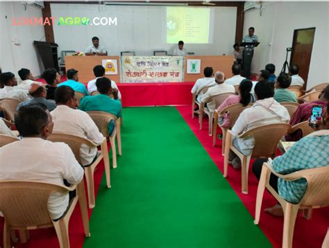 Cotton Cultivation कापूस तूर लागवडीसाठी एकात्मिक पीक पद्धतींचा अवलंब करावा Cotton