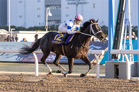 南関東地方競馬チャンネル