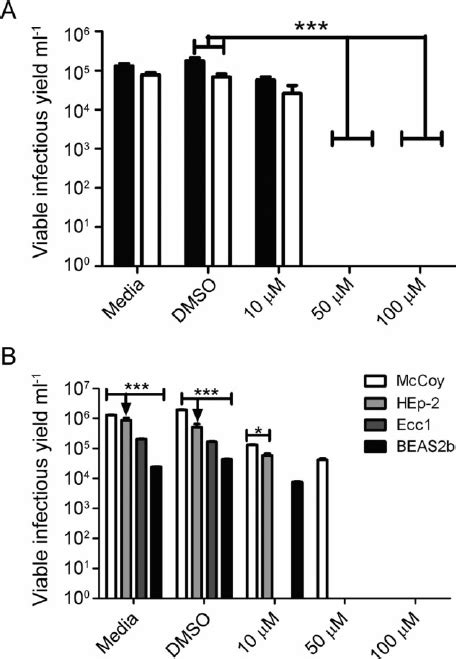 Host Cell Protein Synthesis And Host Cell Type Do Not Influence The