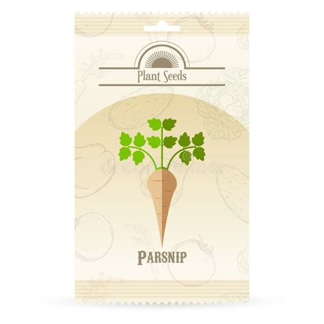 Growth Parsnip Stock Illustrations 108 Growth Parsnip Stock