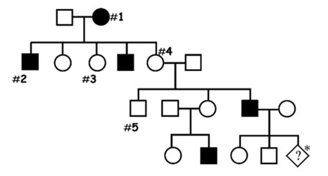 Biology Chapter 14 Flashcards Quizlet
