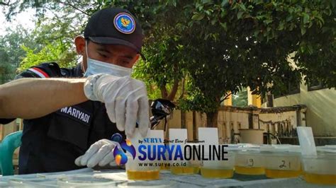 BNNK Tuban Gelar Tes Urine Sopir Dan Kernet Bus Di Terminal Kambang