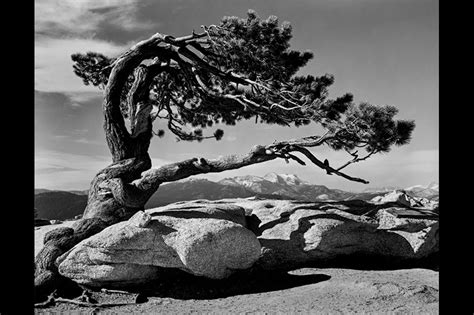 Visualizing The Environment Ansel Adams And His Legacy