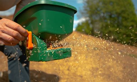 Close Up Dof Unrecognizable Person Sowing Grass Seeds With A Plastic