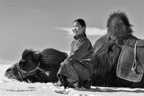 Пүрэвийн Цасан цайрах тал нутагтаа тэмээн сүргийнхээ дэргэд жавхаатайхан шиг охины цовоо