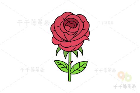 玫瑰荆棘丛简笔画 荆棘丛怎么画简笔画 玫瑰花丛简笔画简单 第12页 大山谷图库
