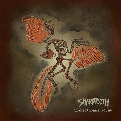 Transitional Forms 𝖘𝖍𝖆𝖗𝖕𝖙𝖔𝖔𝖙𝖍
