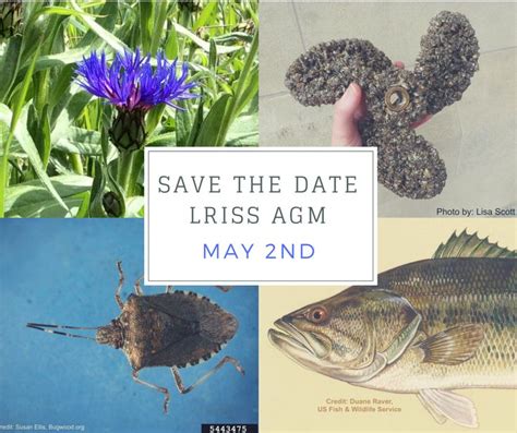 The Lillooet Regional Invasive Species Society Would Like To Invite You