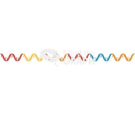 Free Rna Chain Icons Symbols Pictures And Images Mind The Graph