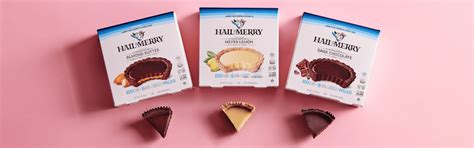 Tarts By Hail Merry Dairy Free Gluten Free Lower Sugar Paleo