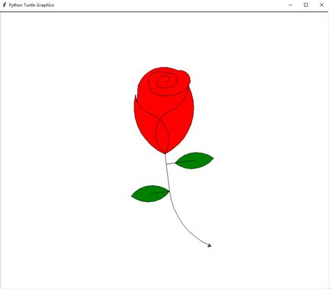 Python海龟绘图 玫瑰python用turtle画玫瑰 Csdn博客