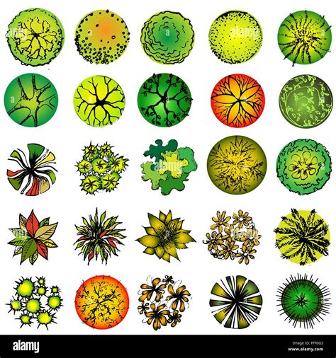 Tree Symbols For Landscape Design At Daniel Hodges Blog