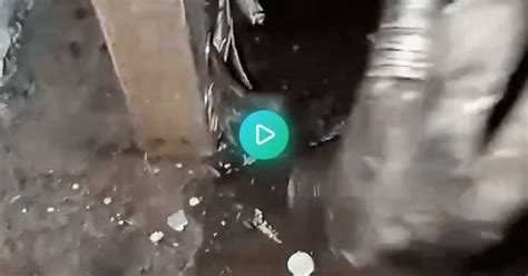 Jackpot Album On Imgur