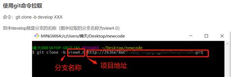 Git保姆级入门（包含解决git仓库报错500的问题）git 500 Csdn博客