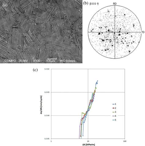 A Sem Bse Image Showing The Lamellar Microstructure Of Investment Download Scientific Diagram