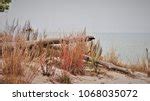 Gateway To Lake Michigan At Illinois Beach State Park Illinois Image