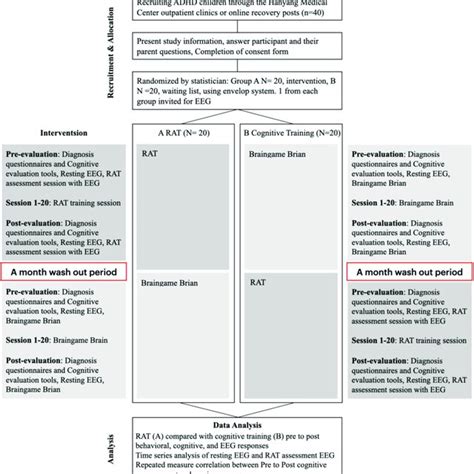Overview Of Rat Structure And Task Trial Assignment Download