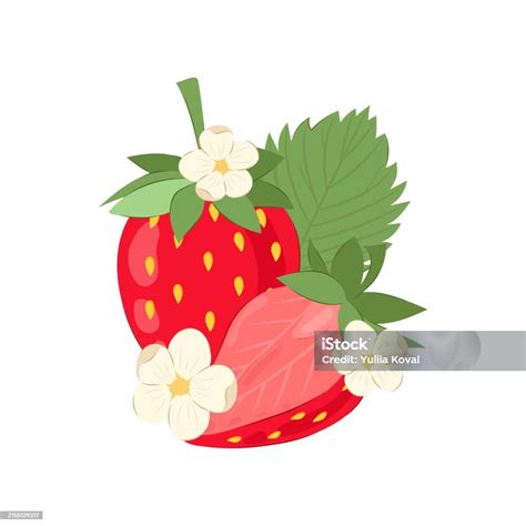 흰색 바탕에 꽃이 있는 잘 익은 빨간 딸기 빨간 딸기 벡터 일러스트 레이 션 플랫 스타일 0명에 대한 스톡 벡터 아트 및 기타 이미지 Istock