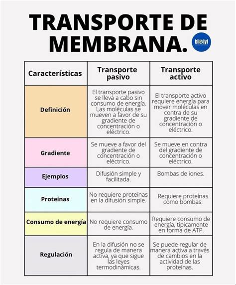 The Spanish Language And Transportation Transporte De Membrana